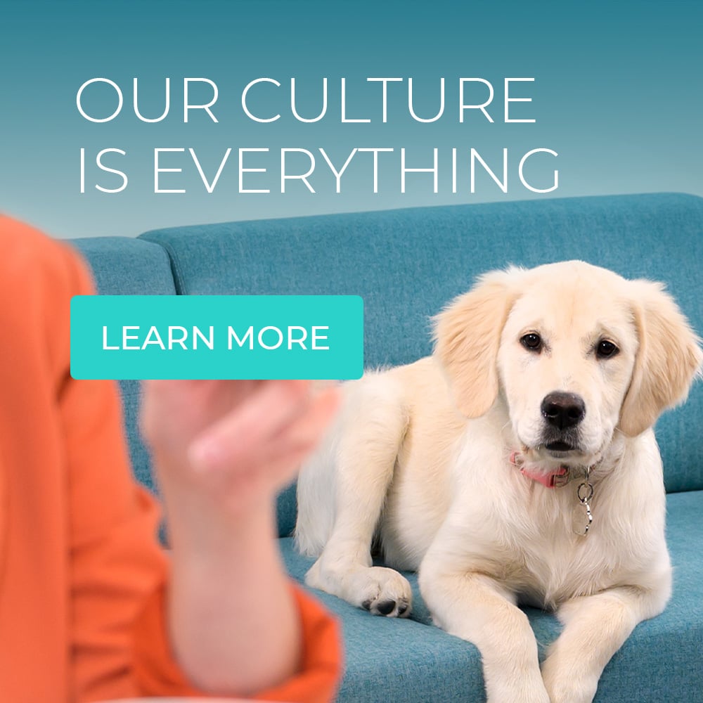 SeaChange | Embracing Technology. Redefining Print.™